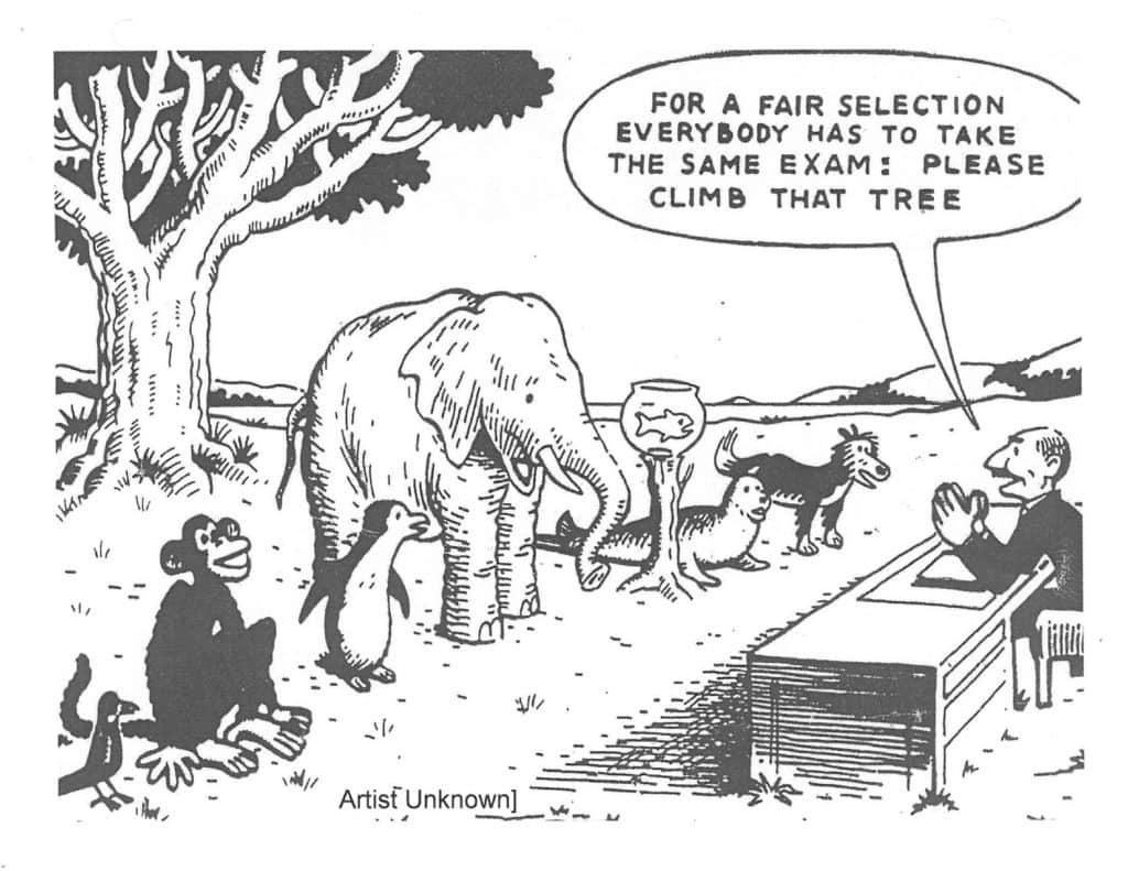 5 Animals Famous for their Intelligence - Animal Cognition